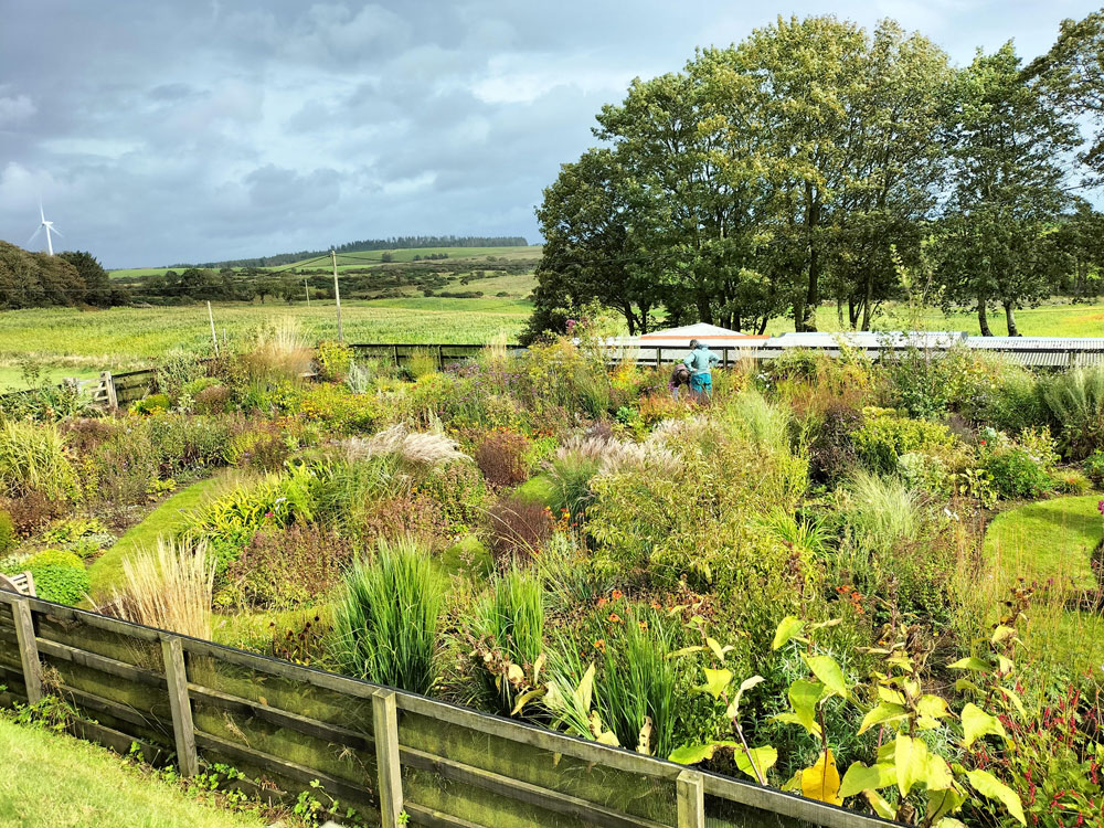 September - Barlockhart Lodge - Wigtownshire